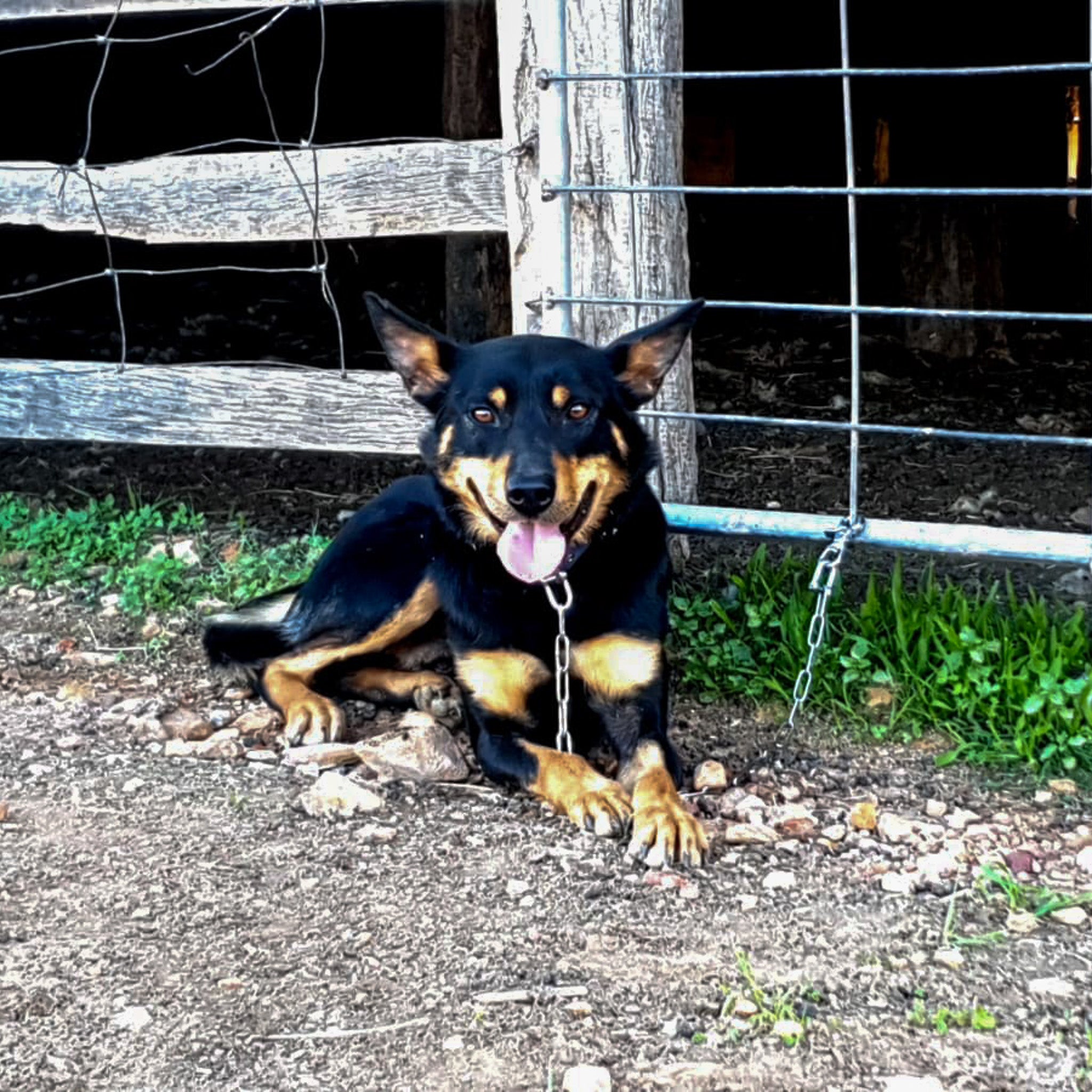 316-Stainless Steel Tie Up Chain – Dawn2Dusk Australia